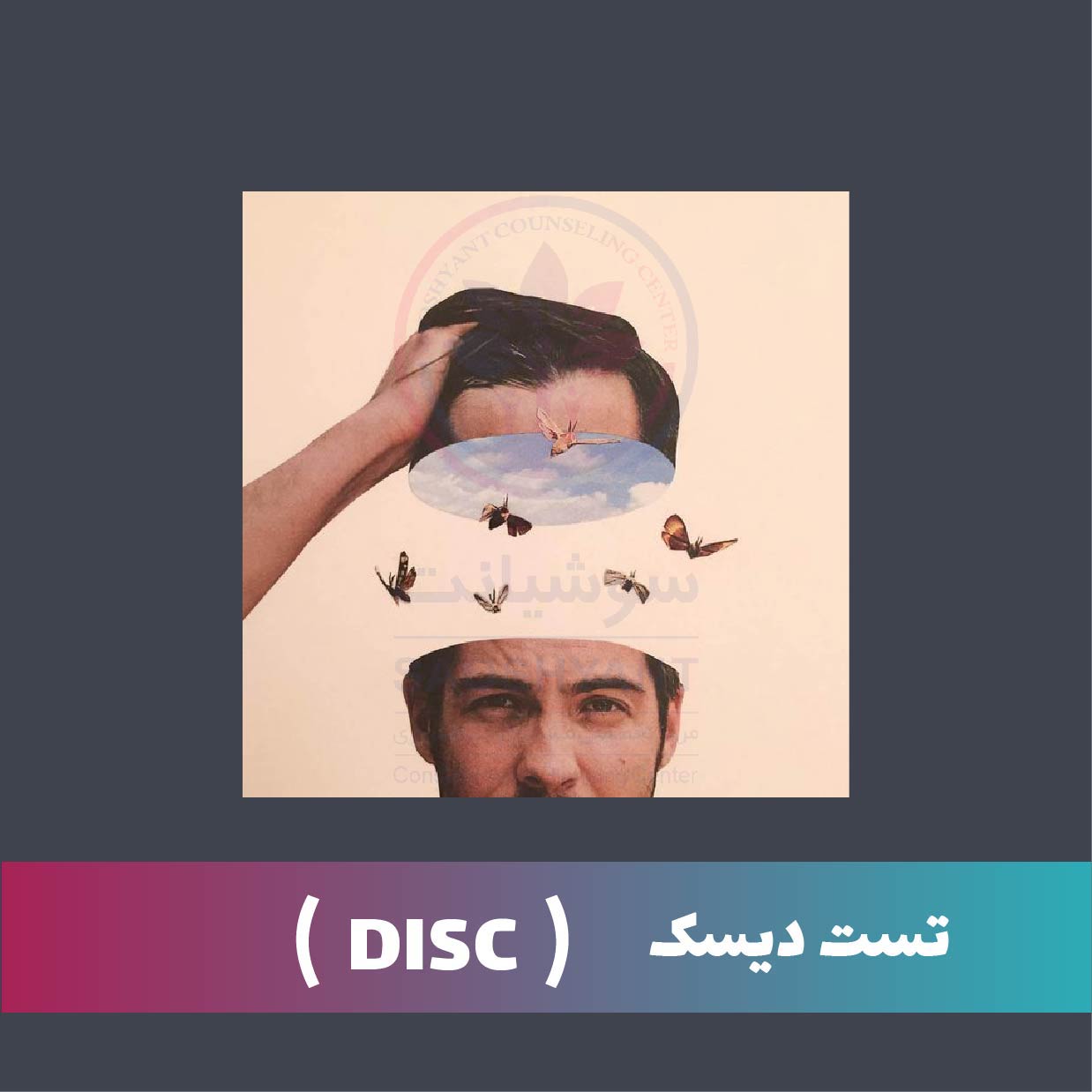 تست دیسک (DISC) | سوشیانت مرکز تخصصی مشاوره و برنامه‌ریزی